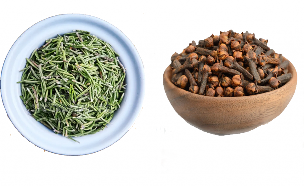 Rosemary and Cloves: Benefits and Uses of This Powerful Herbal Blend ...