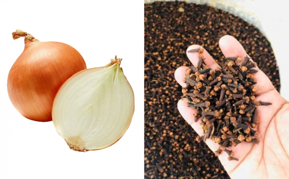 An Onion Studded with Cloves – Benefits and Uses – WAWstock