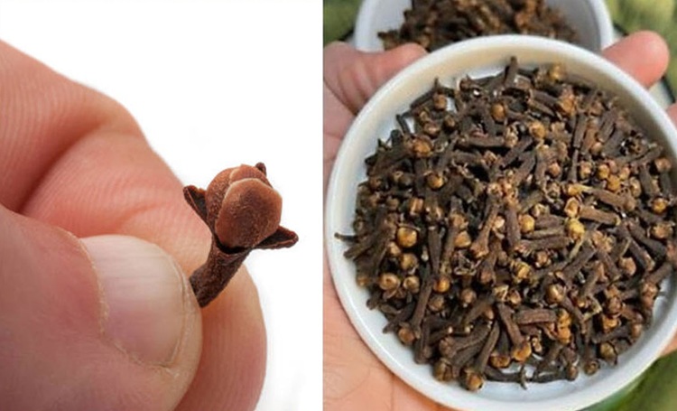 Clove Chewing Benefits: A Complete Guide to This Powerful Spice – WAWstock